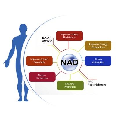 To Revitalize Your Health With Nad IV Therapy: Book Now!